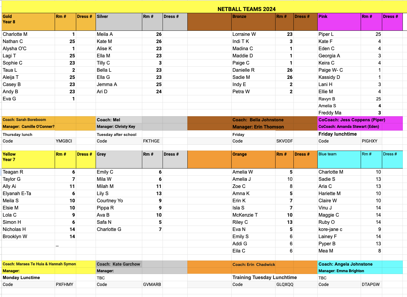 Netball | Balmacewen Intermediate