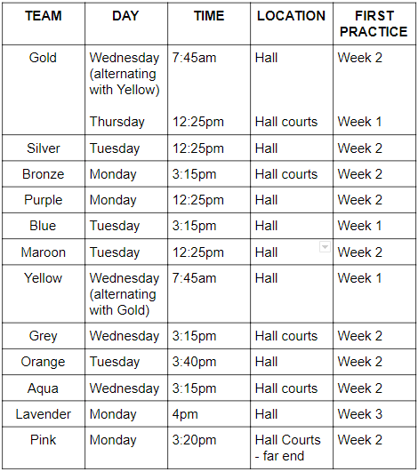 Netball » Balmacewen Intermediate