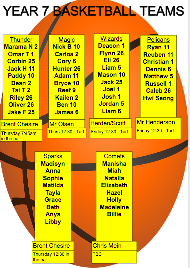 Basketball » Balmacewen Intermediate