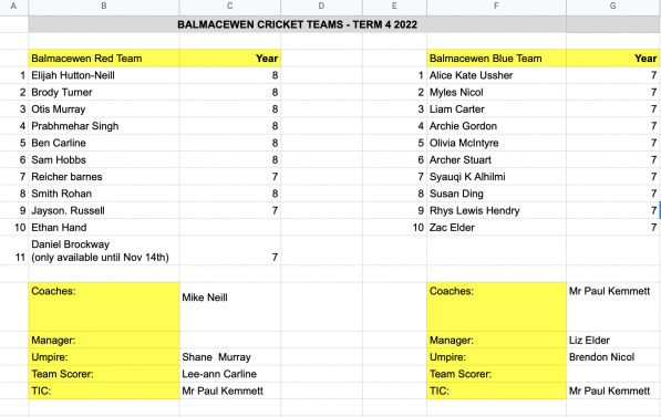 Cricket » Balmacewen Intermediate