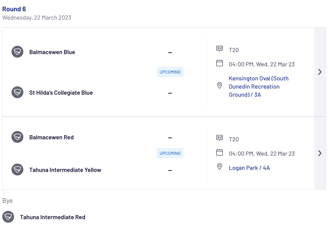 Cricket » Balmacewen Intermediate