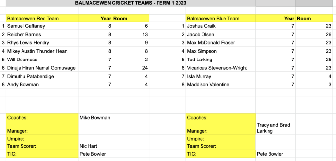 Cricket » Balmacewen Intermediate