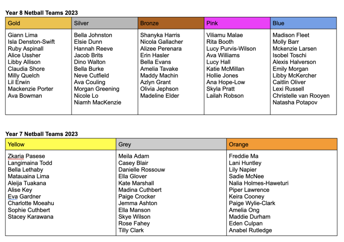 Netball » Balmacewen Intermediate