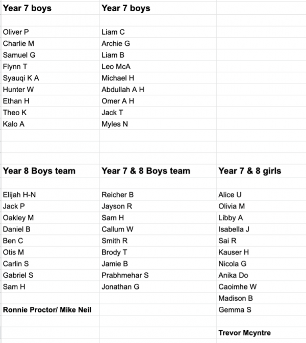 Cricket » Balmacewen Intermediate