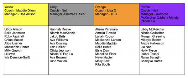 Netball » Balmacewen Intermediate