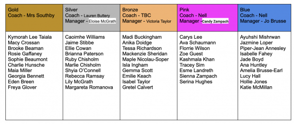 Netball » Balmacewen Intermediate