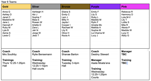 Netball » Balmacewen Intermediate