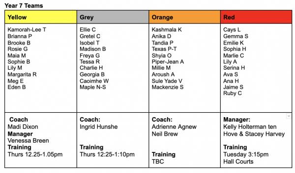 Netball » Balmacewen Intermediate