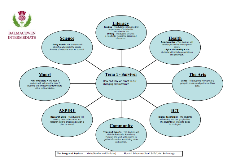 Academic Curriculum » Balmacewen Intermediate